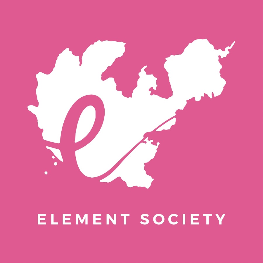 Work with Element Society this summer! NCS programme roles available